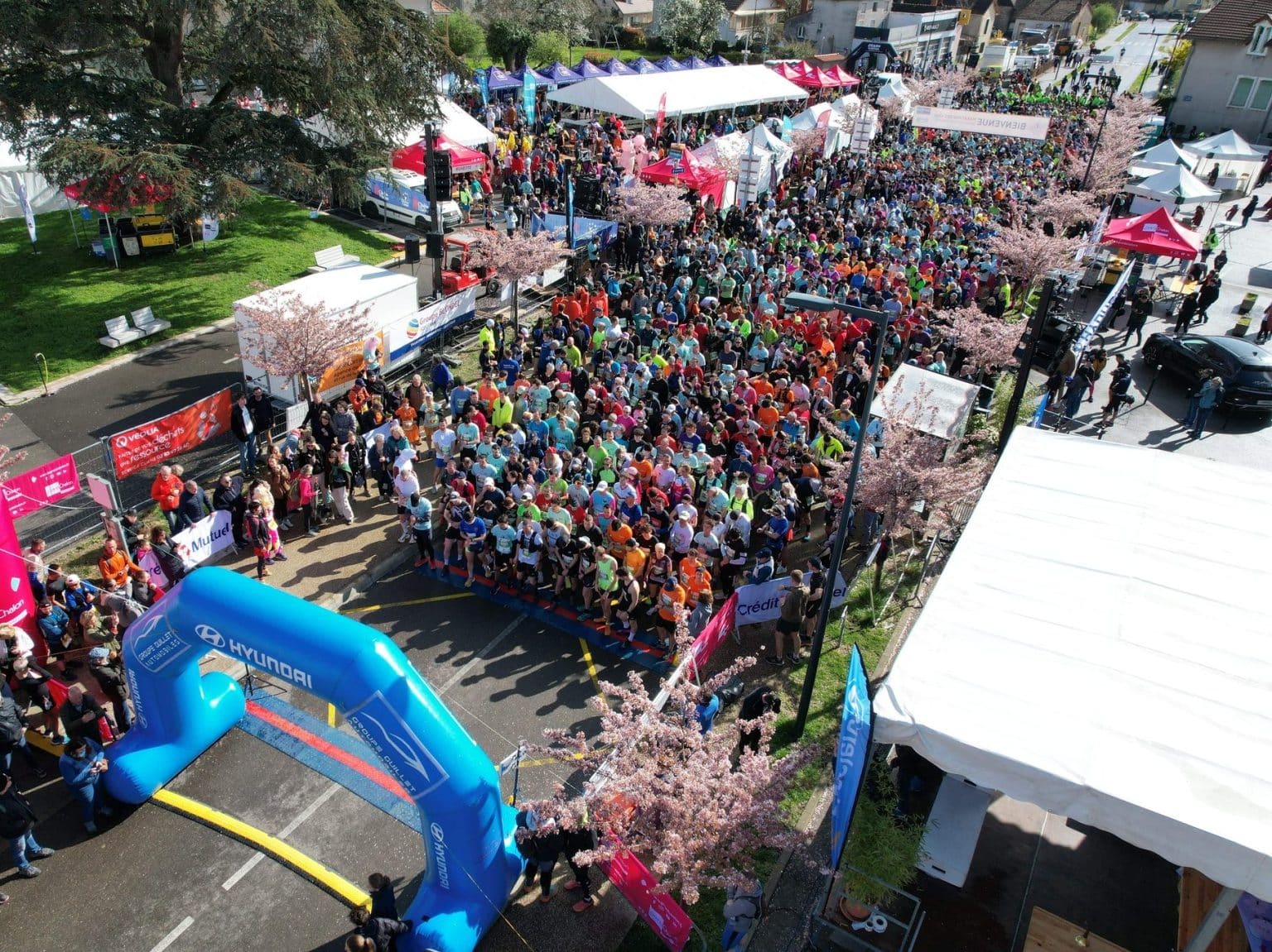 Wine Marathons: A Truly French Phenomenon - Marathons