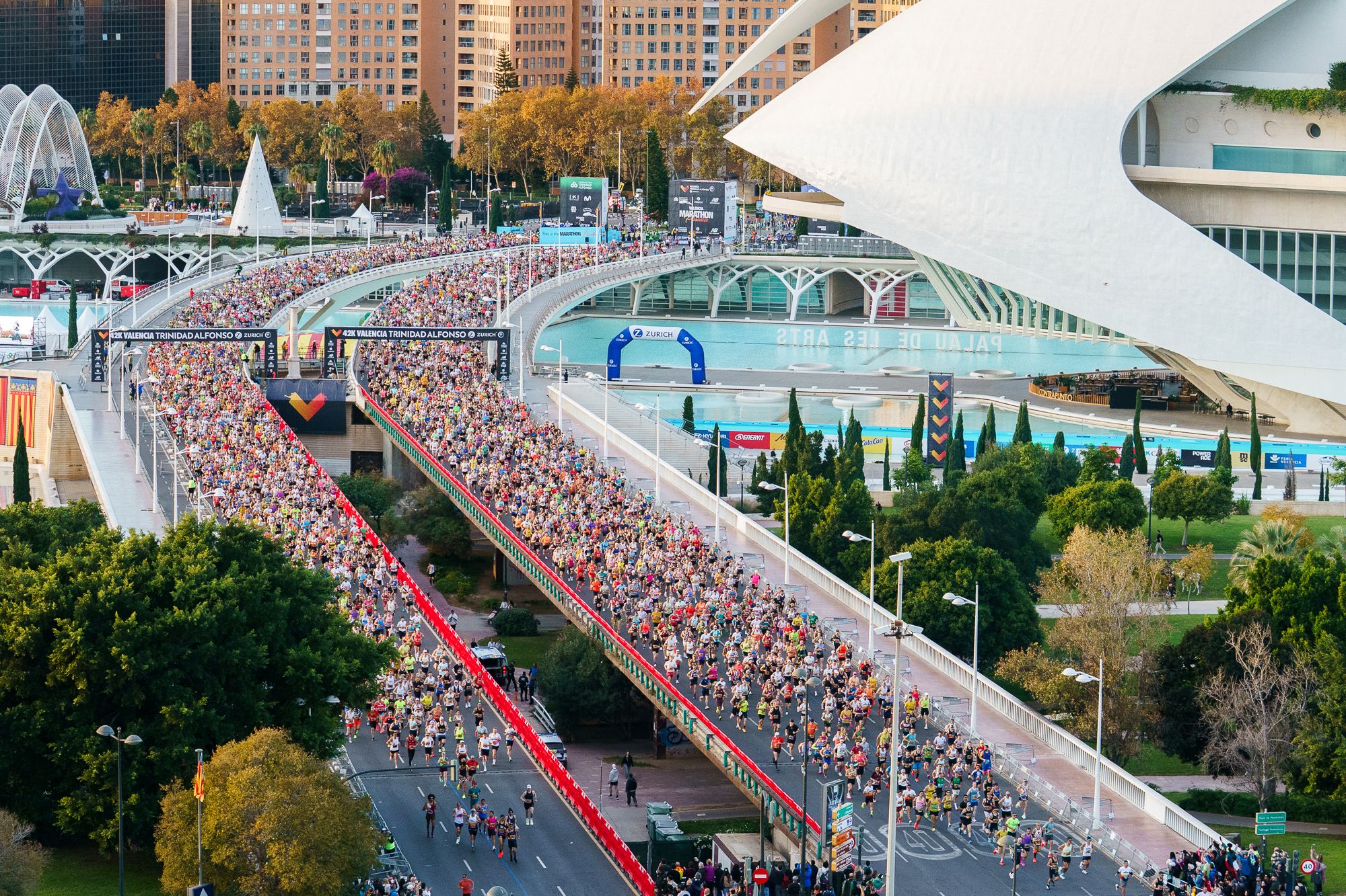 Valencia Marathon 2025: John Korir and Joyciline Jepkosgei Shine on the ...