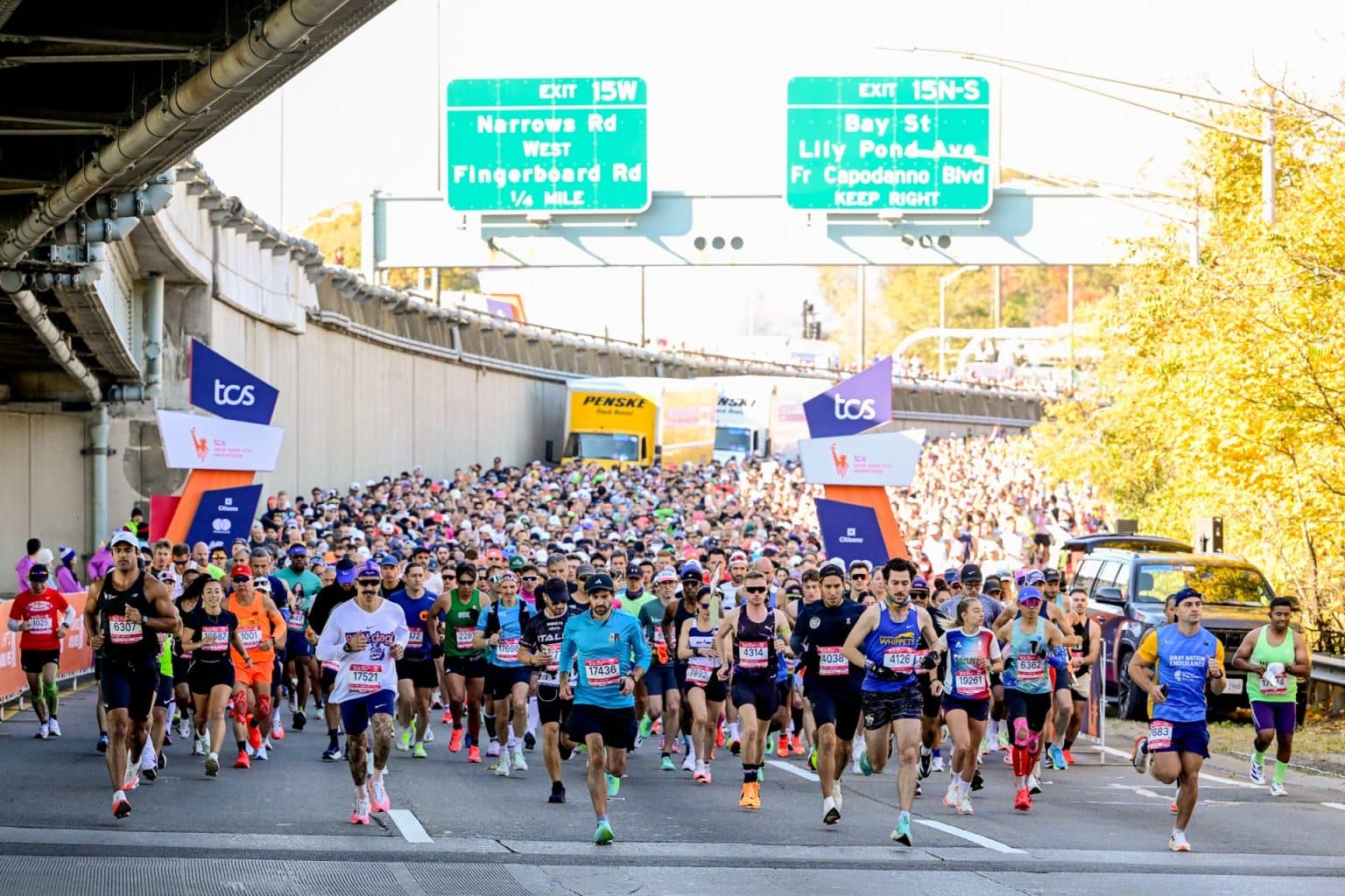 The Key Numbers Behind the 2025 New York City Marathon - Marathons